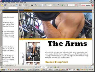 The Musclehead's Guide To A Godlike Physique